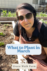 What to Plant in March: Your Seasonal Gardening Guide - Grace Walk Farm
